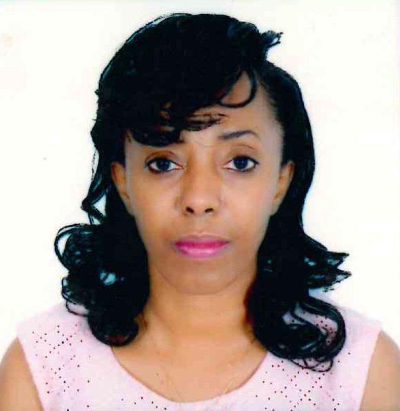 Eleni Tibebe | International IDEA