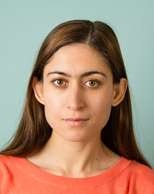 Maryam Safi | International IDEA